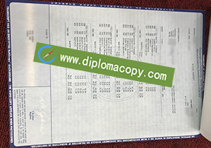 Bulid Fake UC Santa Barbara Transcript Certificate - Buy Fake Diplomas ...