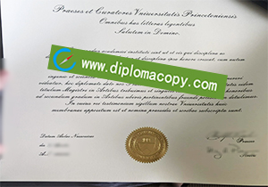 How Much Buy Fake Princeton University Degree? - Buy Fake Diplomas ...